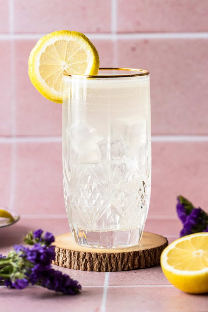 19 Try-Worthy Vodka Cocktails Sure To Entertain - The Sassy Cocktail