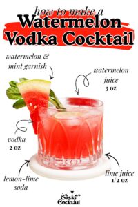 Watermelon Vodka Cocktail - The Sassy Cocktail