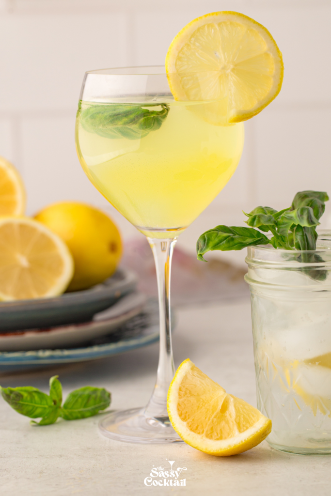 21 Crowd-Pleasing Wine Cocktails To Light Up Your Night - The Sassy ...