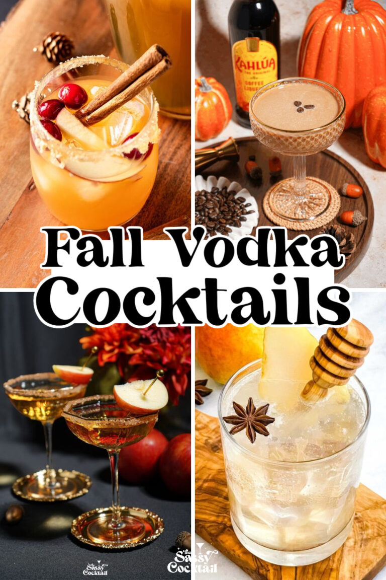 15 Easy Fall Vodka Cocktails for Entertaining - The Sassy Cocktail